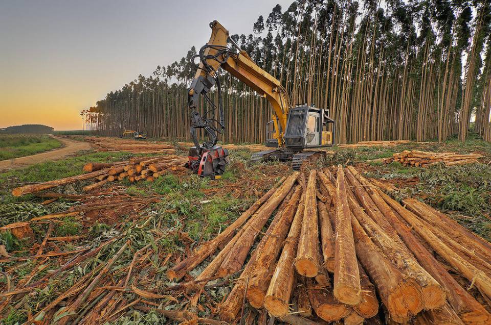 Jason W. Moore: World Accumulation and Planetary Life | Goldsmiths ...